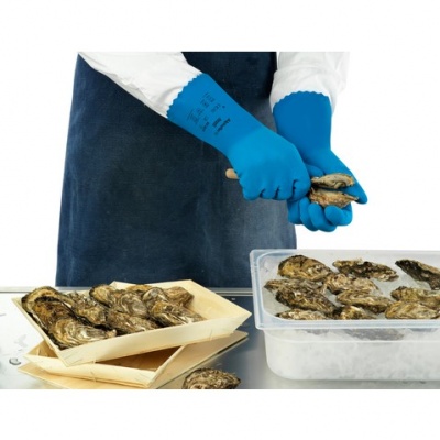 Ansell AlphaTec 87-029 Astroflex Chemical Resistant Gloves